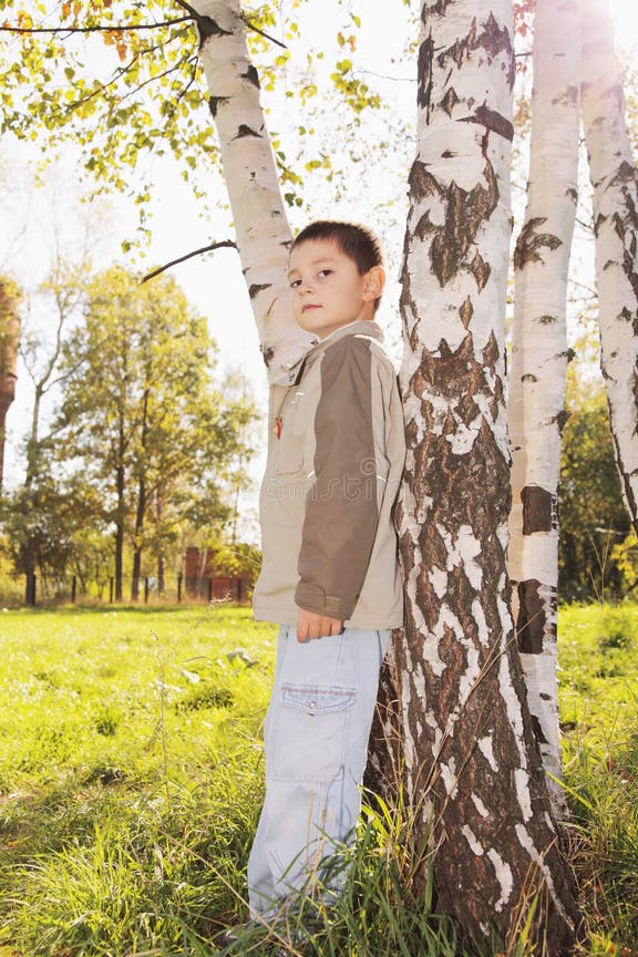 Little boy at tree in park stock image. Image of tree - 16235017