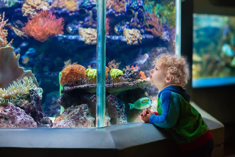 1,247 Children Water Tank Stock Photos - Free & Royalty-Free Stock ...