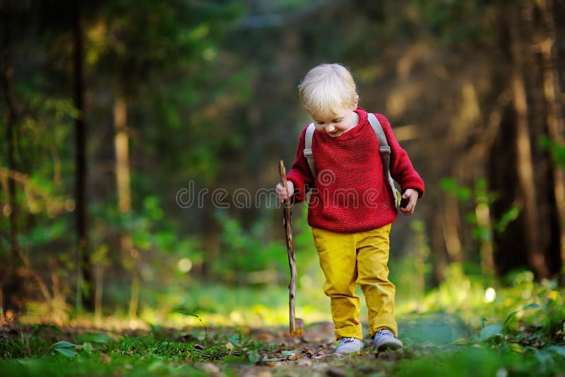 Little Boy Walking in Forest Stock Image - Image of backpack ...