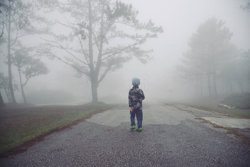Little Boy Walking through the Mist in Forest : Thailand Stock Photo ...