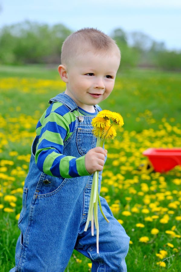 Little Boy Walks Meadow Yellow Flowers Stock Photos - Free & Royalty ...