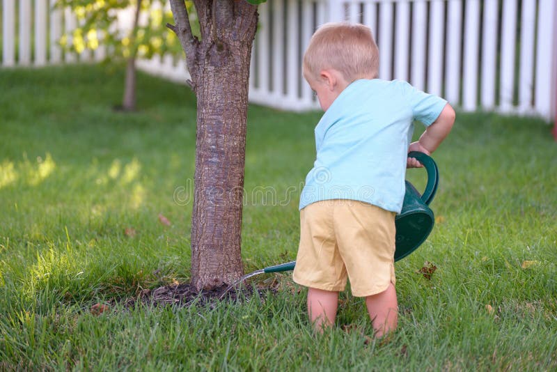 Little Boy Watering Tree in the Garden Stock Photo - Image of watering ...