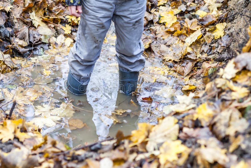 Drowning arm in puddle stock photo. Image of sink, nature - 68340828