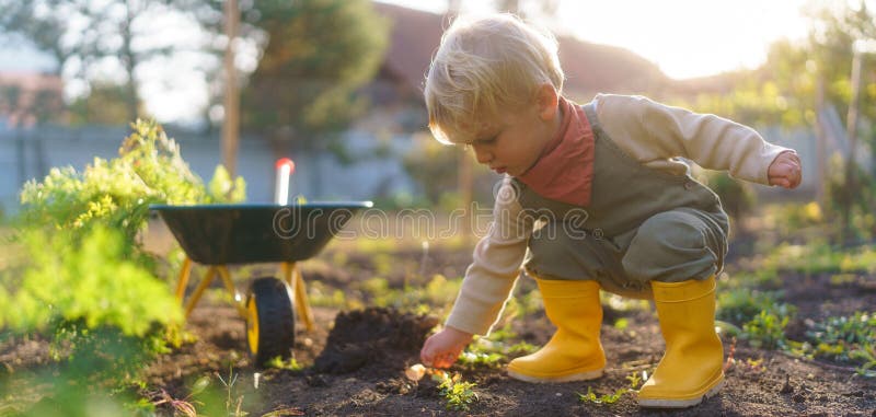 Little Boy Working in Garden during Autumn Day. Stock Image - Image of ...