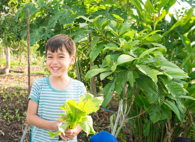 Little Boy Working Planting in the Farm Outdoor Stock Photo - Image of ...