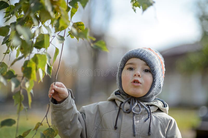 Boy of 3 Years Old in the Park Under the Branches of a Tree Stock Photo ...