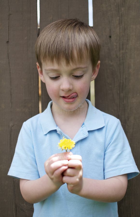 Cute Little Boy Holding Little Flower Stock Image - Image of white ...
