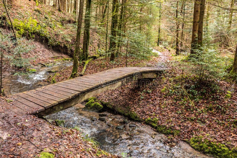 Little Bridge Across the Creek Down the Canyon in the Middle of the ...