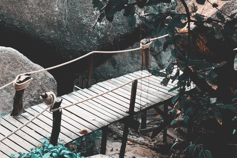 Little bridge in jungle stock photo. Image of scenery - 108228862