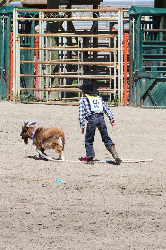 Little Britches Rodeo editorial image. Image of active - 26691185
