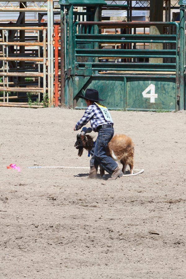 Little Britches Rodeo editorial photography. Image of cowboy - 26691197