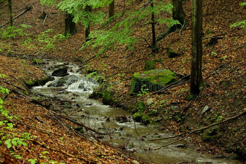 Little Brook with Many Stones Stock Photo - Image of outdoors ...