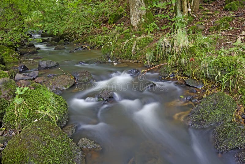 Little brook in forest stock photo. Image of stump, hiking - 43980586