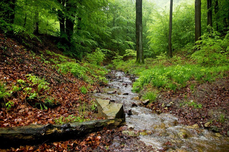 2,757 Little Brook Photos - Free & Royalty-Free Stock Photos from ...