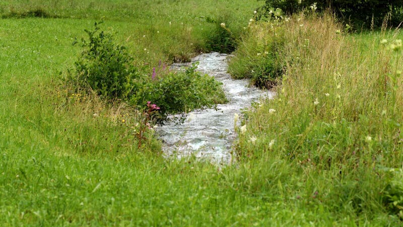 Little brook in spring stock image. Image of outdoor - 94268551