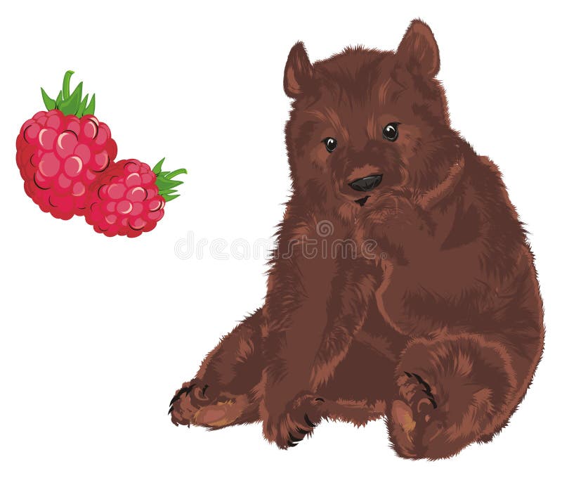Bear and Berry stock vector. Illustration of hunger, claw - 7724826