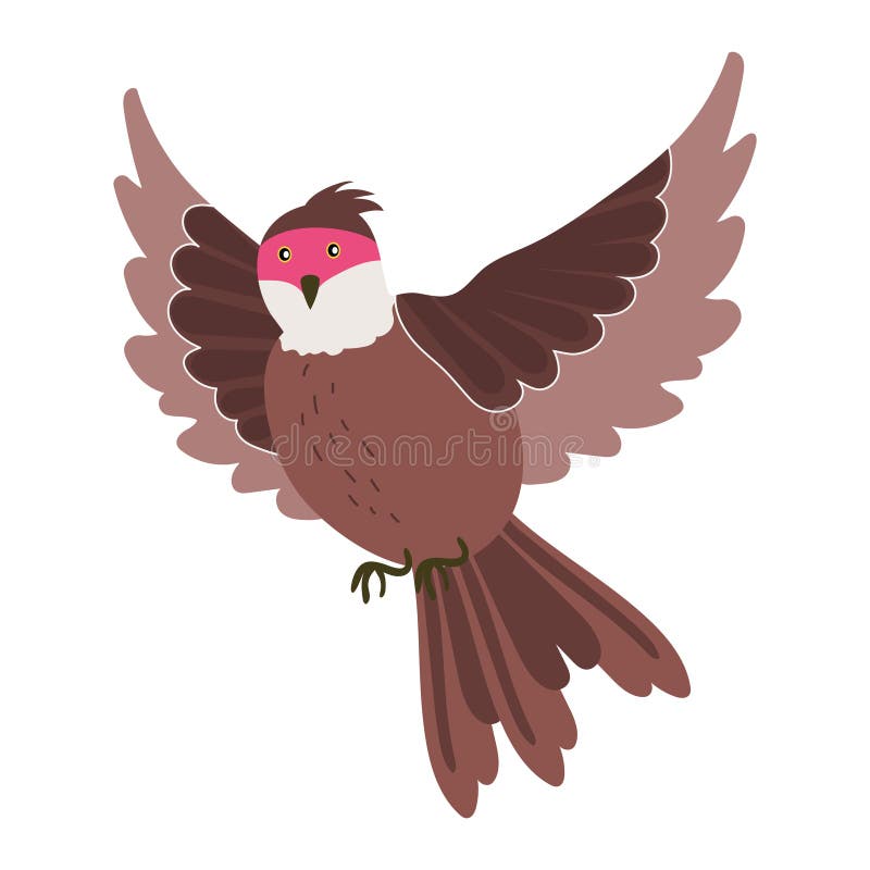 Little brown bird flying stock vector. Illustration of exotic - 295541386