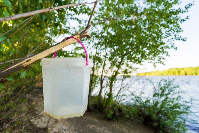 Little Bucket stock image. Image of river, outside, water - 40526551