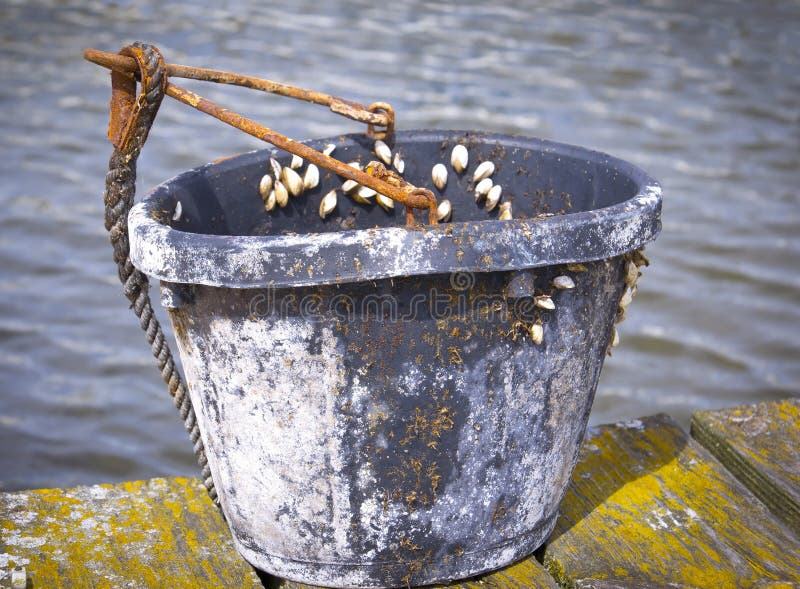 Little Bucket stock photo. Image of water, handle, summer - 50244320