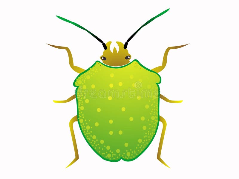 Little Bug Picture. Image: 5782669