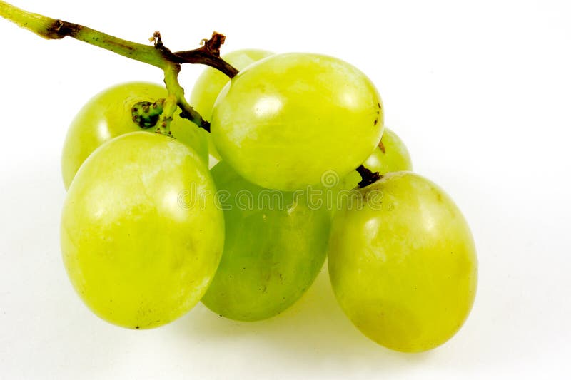 Little Bunch of White Grapes Stock Photo - Image of juice, agriculture ...