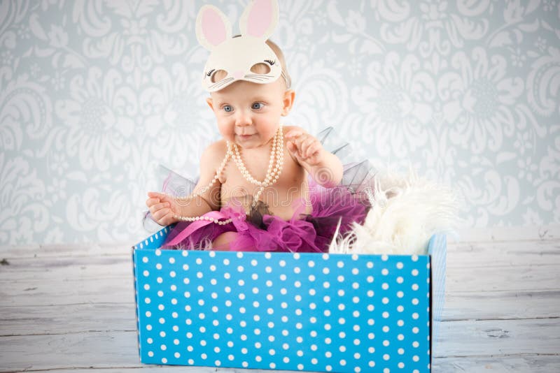 Little bunny in the box stock image. Image of baby, babies - 29435637
