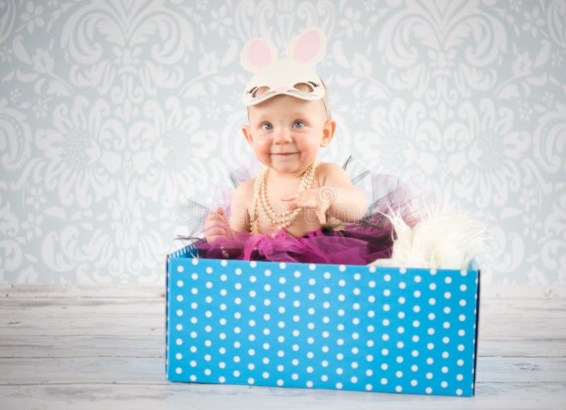 Little bunny in the box stock photo. Image of hardwood - 29435648
