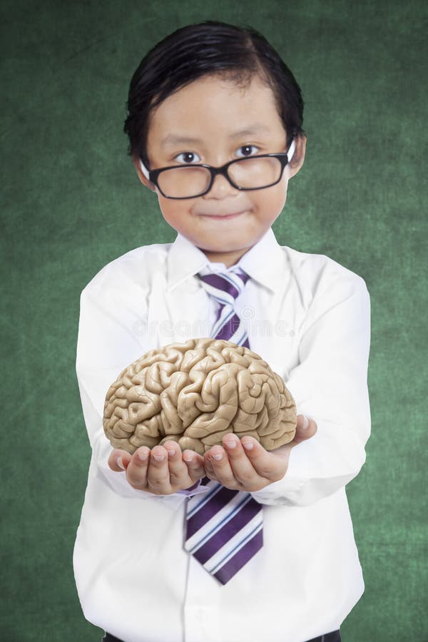 Little Businessman Holds Brain Stock Image - Image of brain, leadership ...