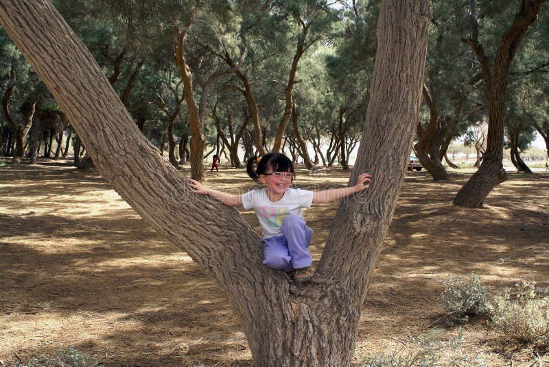 Girl Sitting in a Tree Fork Stock Photo - Image of smile, girl: 265970952