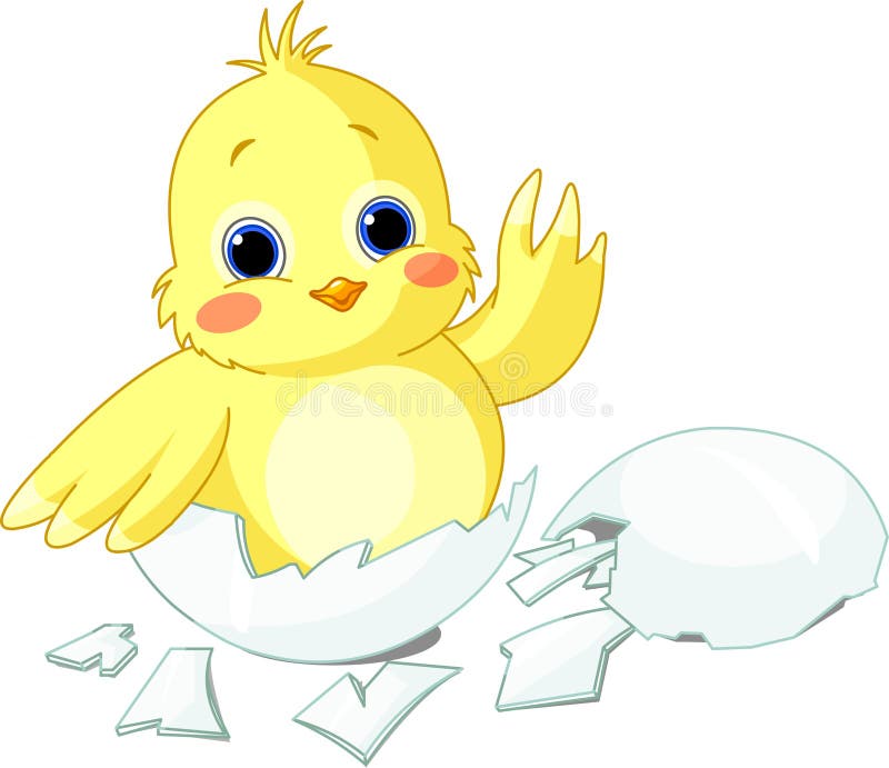 Little chicken stock vector. Illustration of newborn, hatchling - 8357283