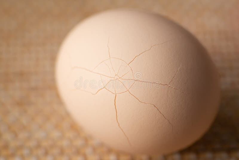 Egg with Beautiful Crack on Its Shell Stock Photo - Image of simplicity ...