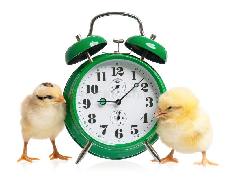 128 Fuzzy Clock Stock Photos - Free & Royalty-Free Stock Photos from Dreamstime