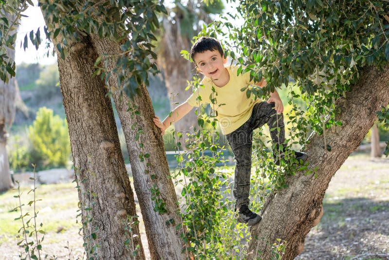 Little Child Climbing Tree in Summertime. Stock Photo - Image of ...
