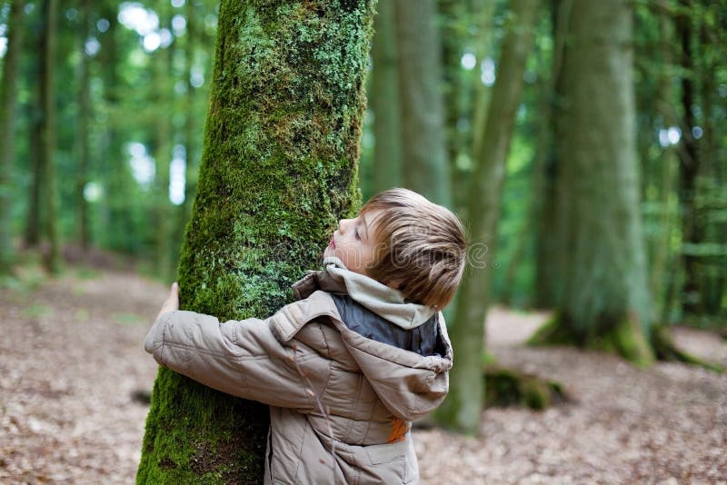 5+ Protecting little tree Free Stock Photos - StockFreeImages