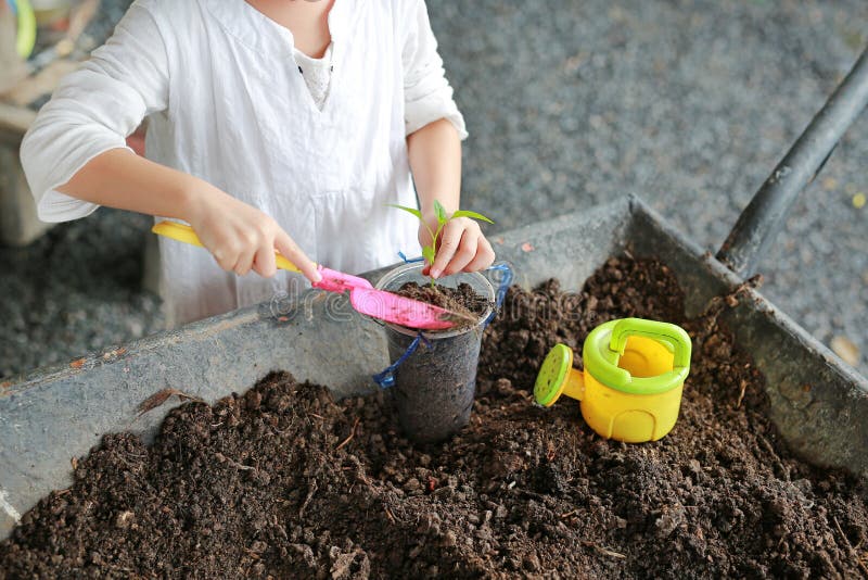 Little Child Girl Planting the Tree in Pot Stock Photo - Image of ...