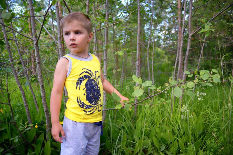 Little Child Has Lost in Wood and Look Round Stock Image - Image of ...