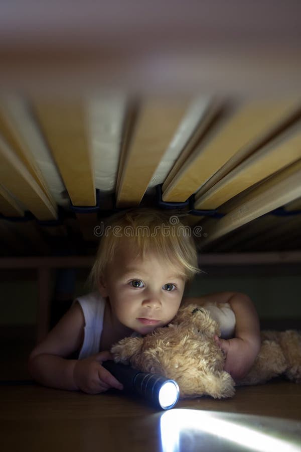 198 Cute Teddy Bear Hiding Stock Photos - Free & Royalty-Free Stock ...