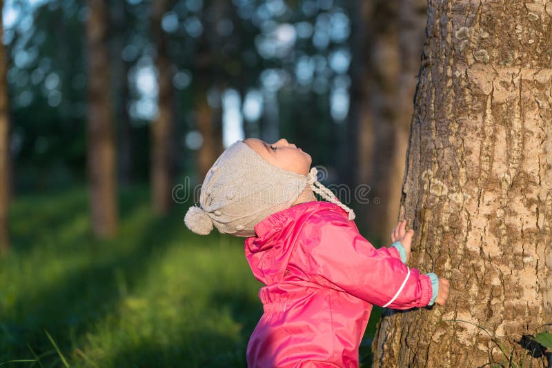 Little Child Looks Up at Tree. Stock Image - Image of activities ...