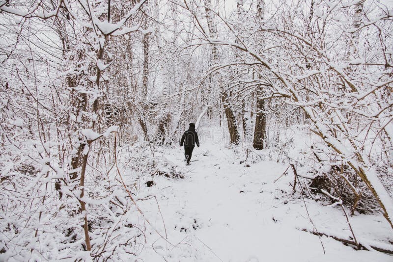 Little Child Running in the Winter Snow White Forest Stock Image ...
