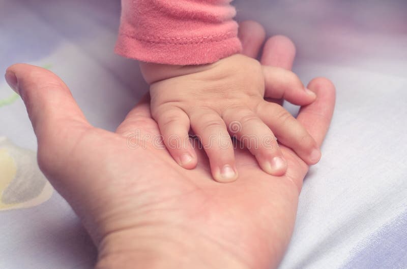 A Little Child`s Hand with Parent`s Hand Stock Image - Image of adult ...