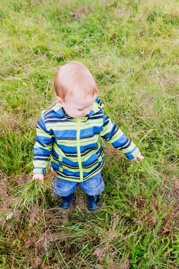 A Little Child is Tearing a Grass Stock Image - Image of green, boys ...