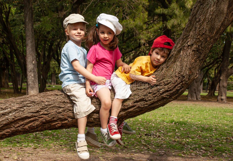 Little Children Sit on a Tree in the Park Stock Image - Image of child ...
