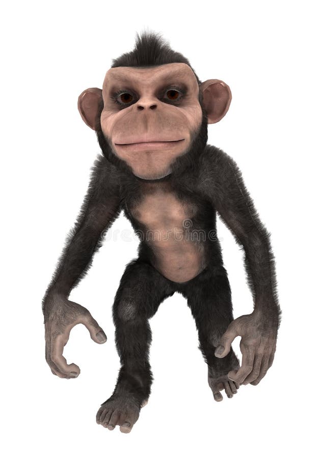 Little Chimp Walking stock illustration. Illustration of wildlife ...