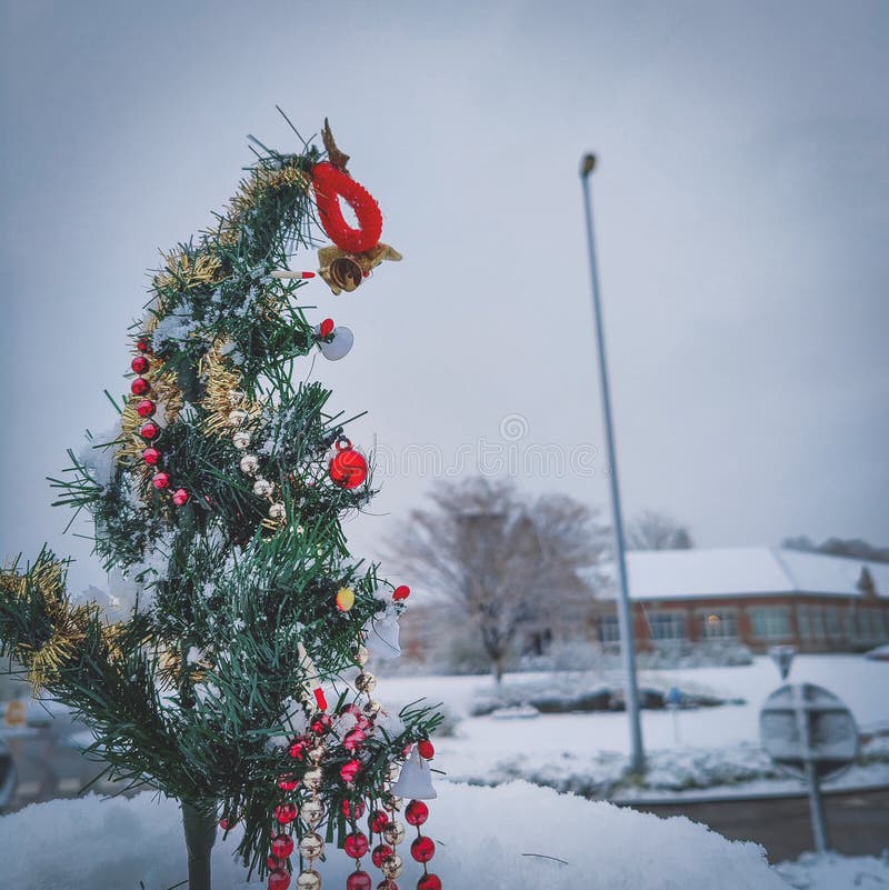 Little Christmas Tree on a Roundabout on the Street Stock Photo - Image ...