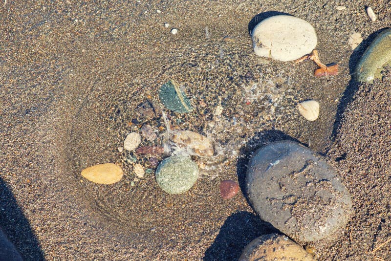 Clear Puddle Water with Tree Shadows Stock Image - Image of nature ...