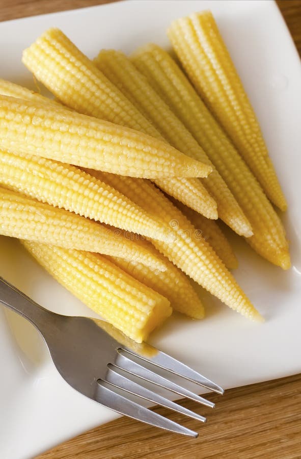 Little corn stock image. Image of full, nutritious, corn - 22695697