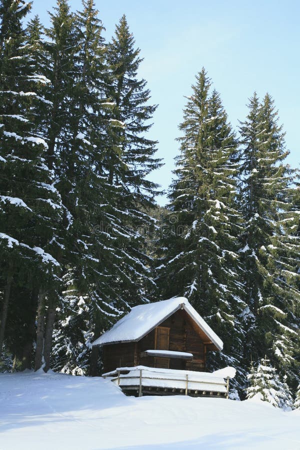 Little Cottage in the Forest Stock Image - Image of 100media, wooden ...