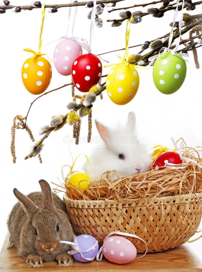 Little Cute Baby Rabbits and Painted Easter Eggs Stock Image - Image of ...