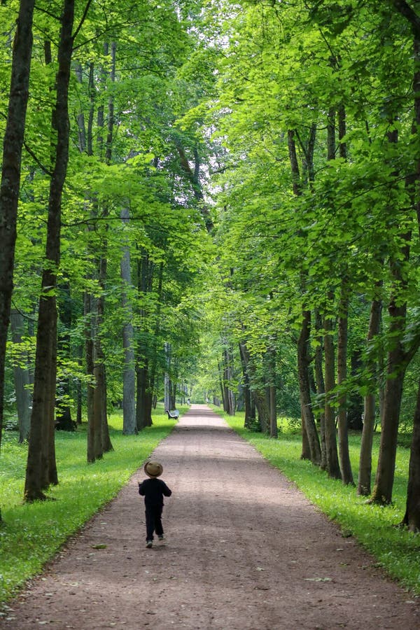 Little Cute Blond Boy in a Hat Walking on a Path in the Green Beautiful ...