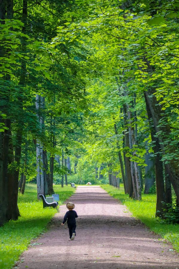 Little Cute Blond Boy in a Hat Walking on a Path in the Green Beautiful ...